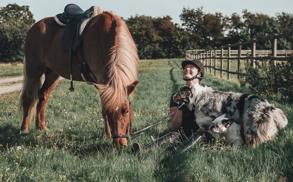 Mixed Horse Breeds