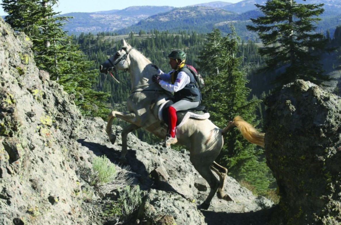 What is Endurance Riding?
